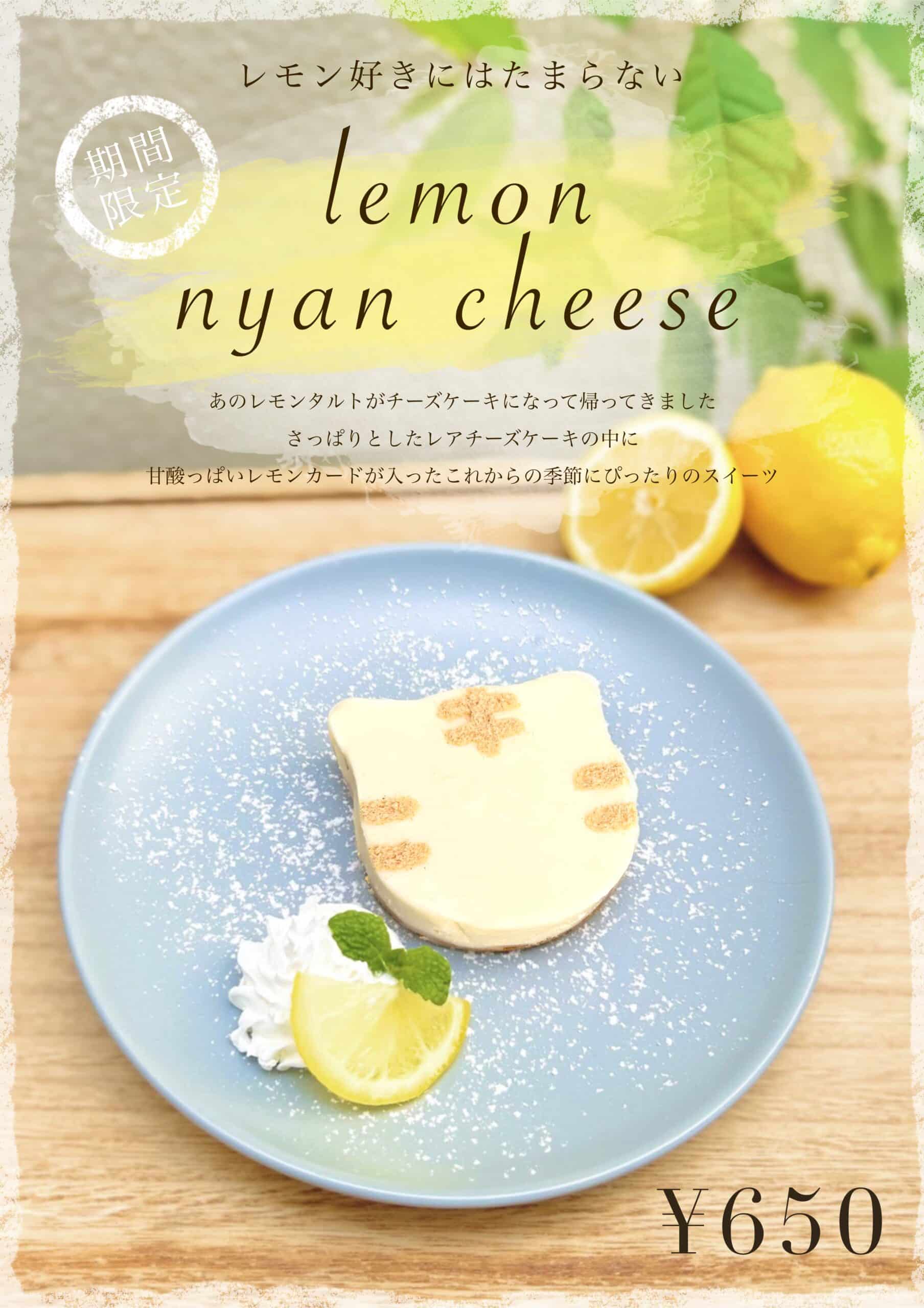 Fluffy's cafe | 京都の猫カフェ犬猫人がFluffy's cafeとして四条河原町にリニューアルオープン！ふわふわもこもこの猫 ...